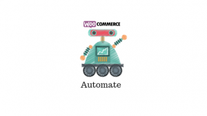 Top 20 Plugins to Automate your WooCommerce Store - LearnWoo
