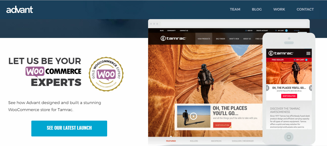 Top 15 Software Development Service Providers for WordPress ...