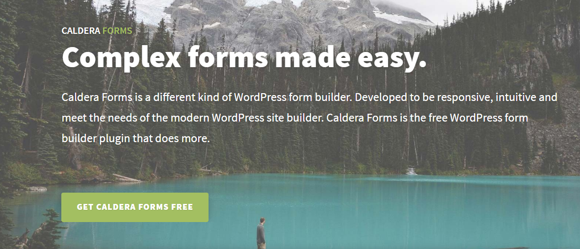 Caldera Forms - LearnWoo
