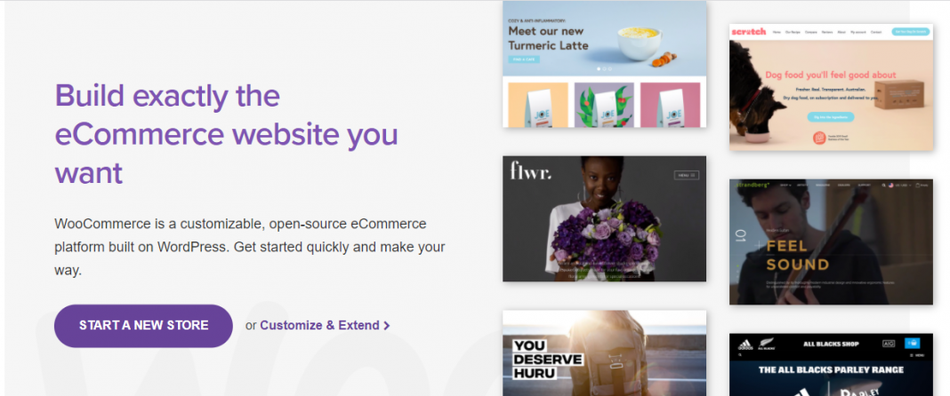The Complete Guide to Set up a WooCommerce Photography Site - LearnWoo