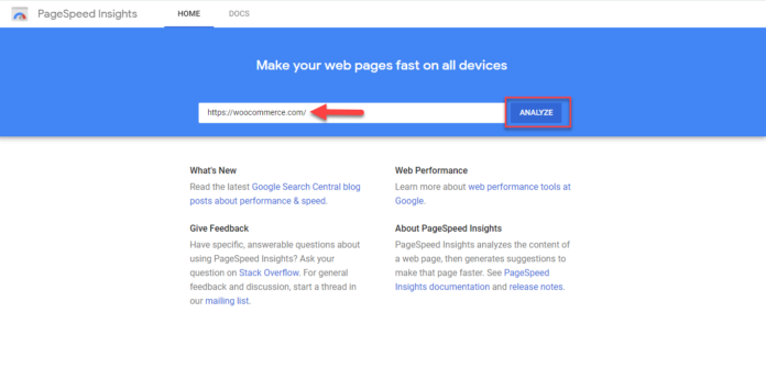 How to Use Google PageSpeed Insights - LearnWoo