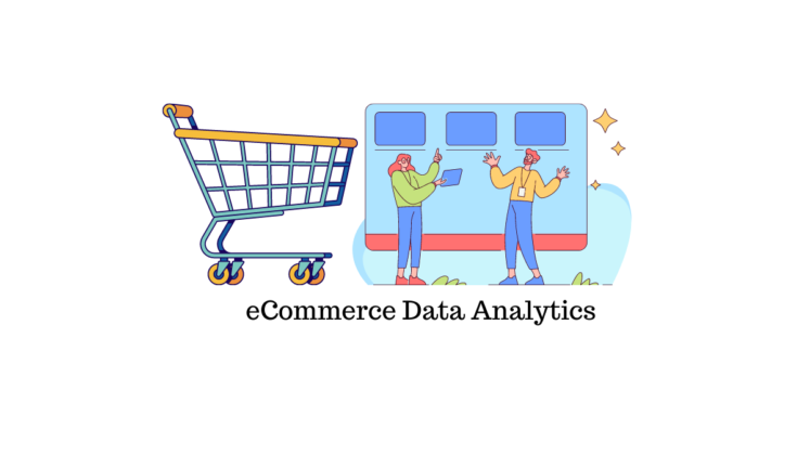 Using Ecommerce Data Analytics in Growing Your Business - LearnWoo