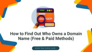 How to Find Out Who Owns a Website Domain Name? (Free & Paid Methods ...